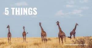 5 Things...Travel, Social Media, Conversational Search and Happiness