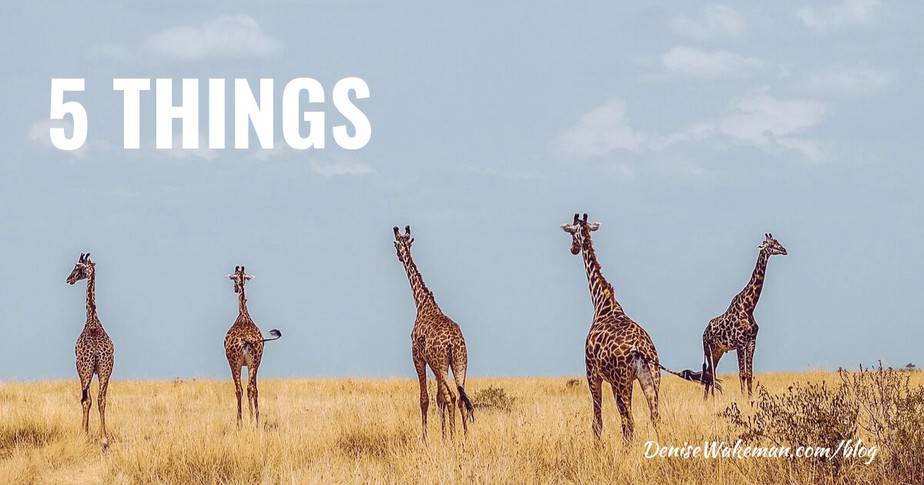 5 Things...Travel, Social Media, Conversational Search and Happiness